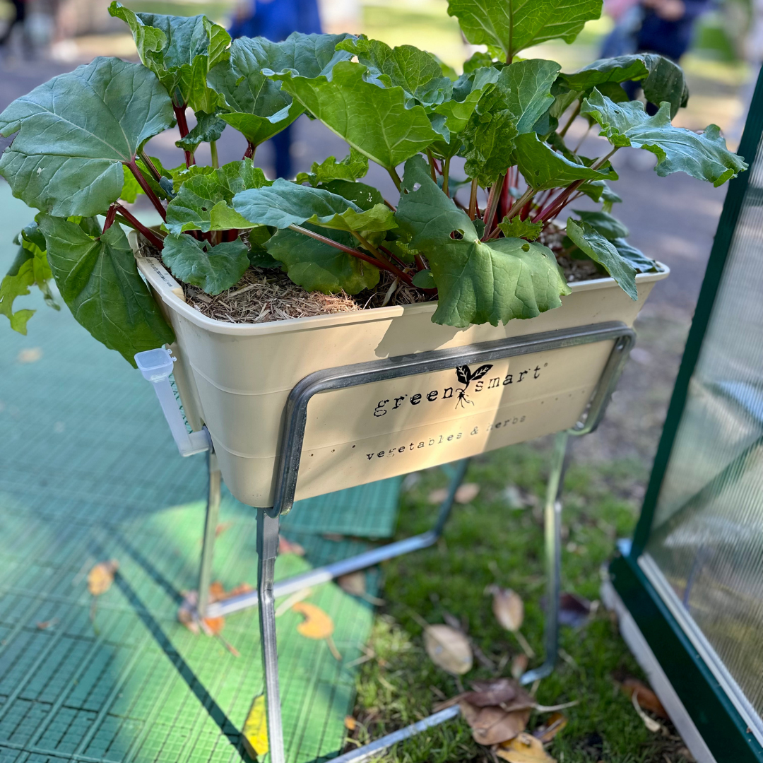 Cradle Stand – Sproutwell Greenhouses