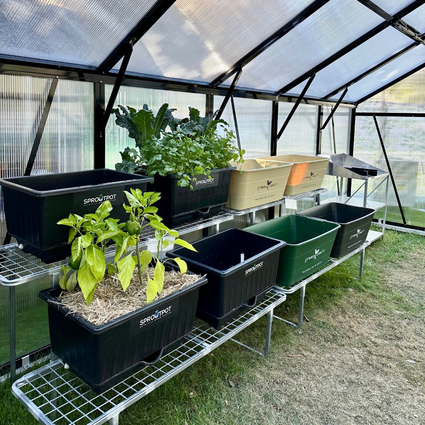 Large Self Watering Pots Australia | Sproutwell Greenhouses
