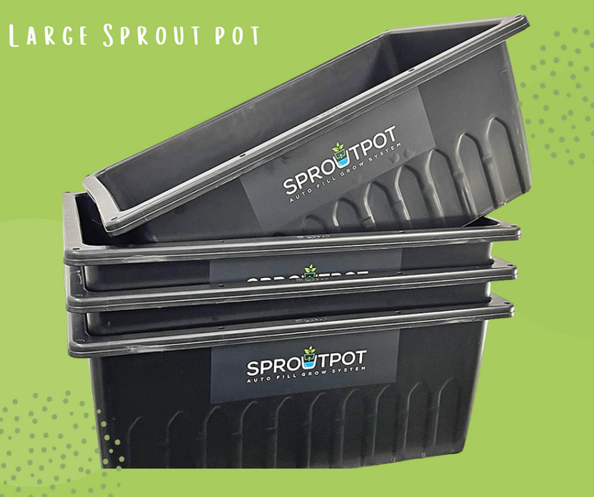 Self Watering Pots Australia | Easy Gardening - Sproutwell – Sproutwell ...