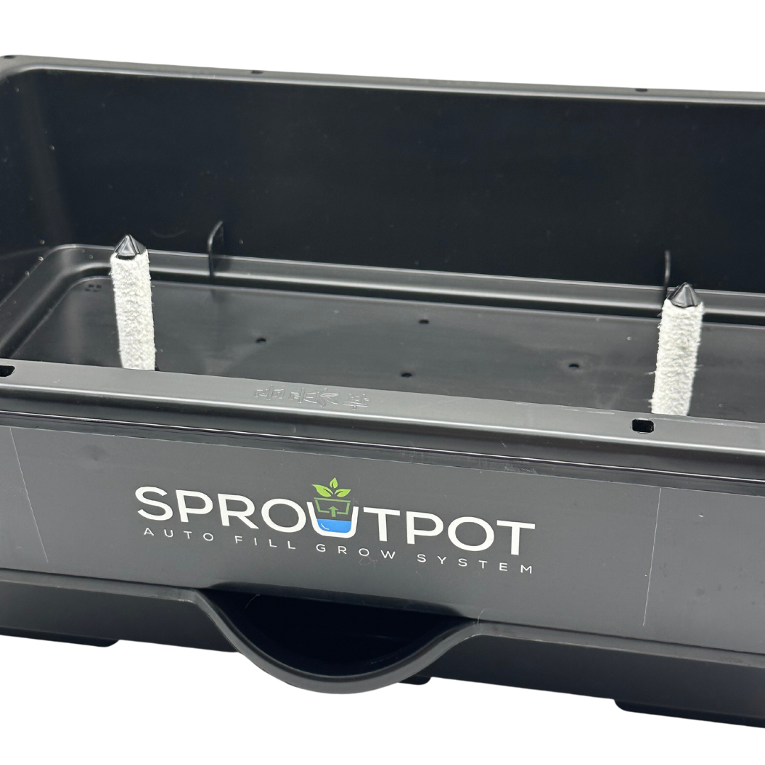 Sprout Pot - NEW Slim Design – Sproutwell Greenhouses