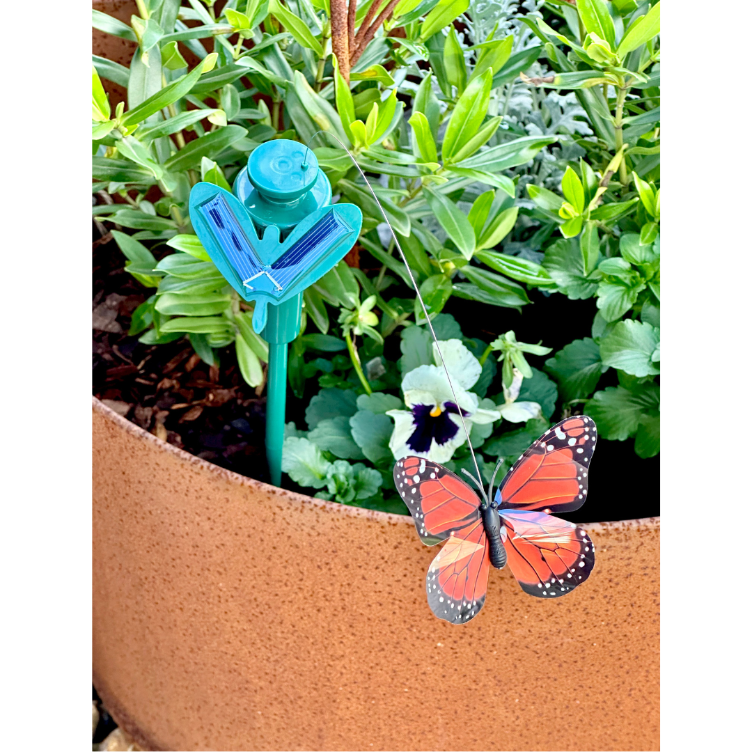 Solar Garden Butterfly – Sproutwell Greenhouses