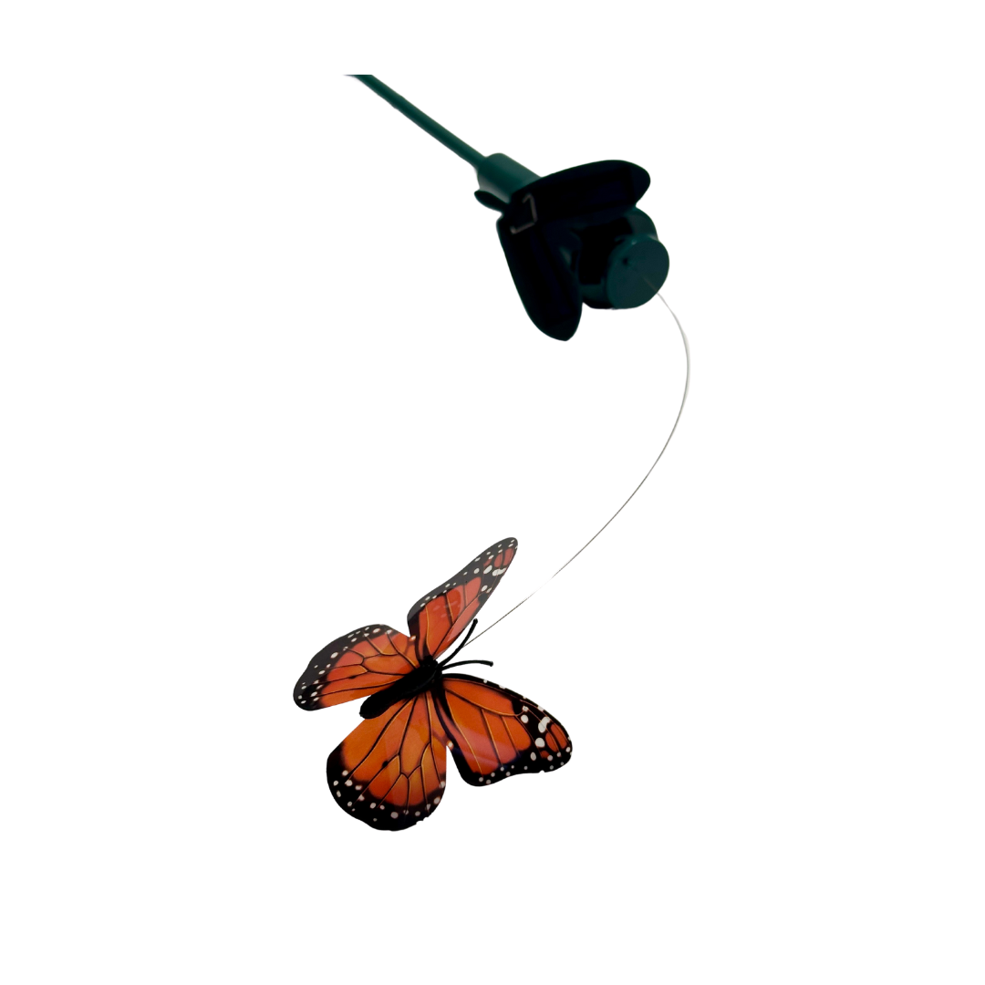 Solar Garden Butterfly – Sproutwell Greenhouses