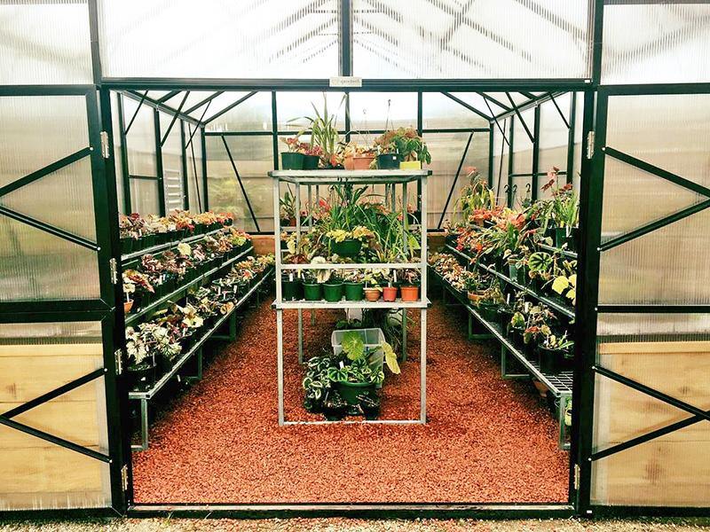 Customised Stands – Sproutwell Greenhouses